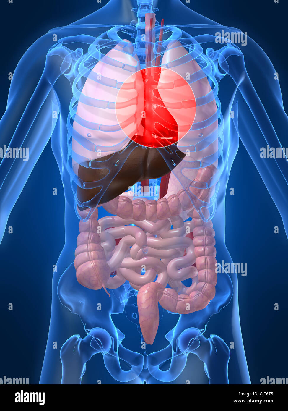 Health medicinally hi-res stock photography and images - Alamy