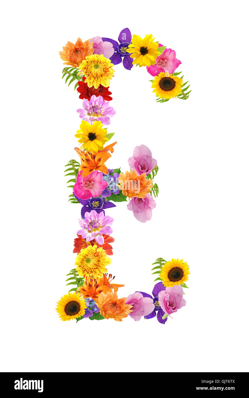 Letter e flowers hi-res stock photography and images - Alamy
