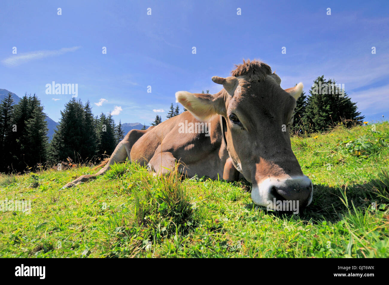 mountains agriculture farming Stock Photo - Alamy