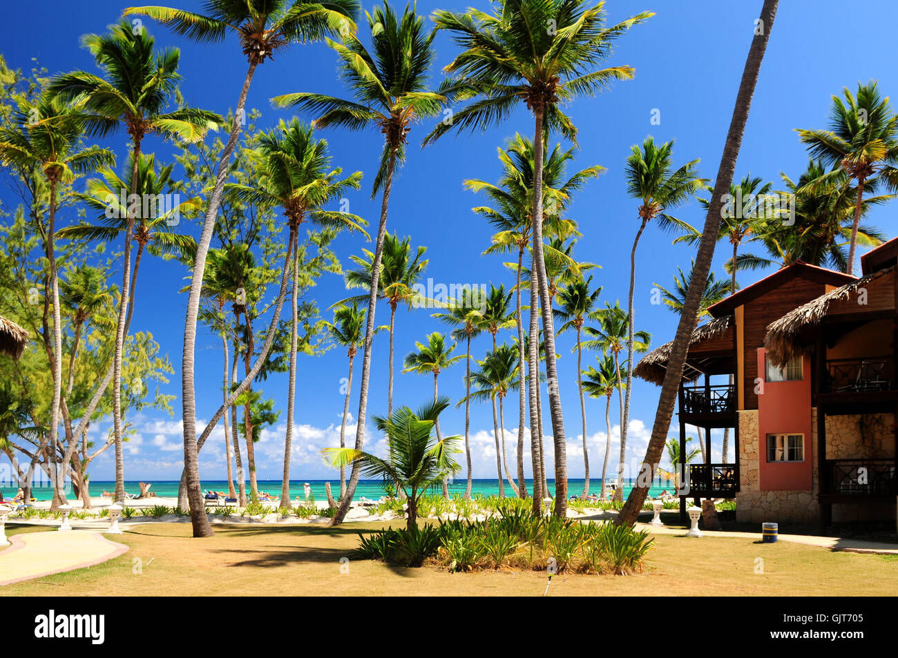 travel tree trees Stock Photo - Alamy