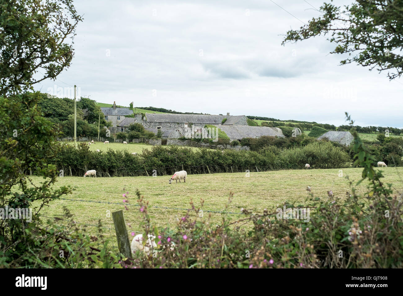 Llanfwrog village, Isle of Anglesey, Ynys Mon, North Wales, Gwynedd, UK ...
