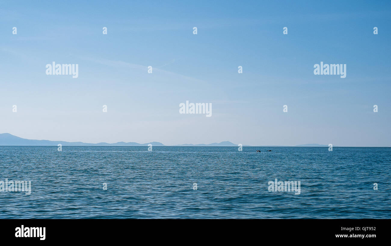 Flying birds snowdonia hi-res stock photography and images - Alamy