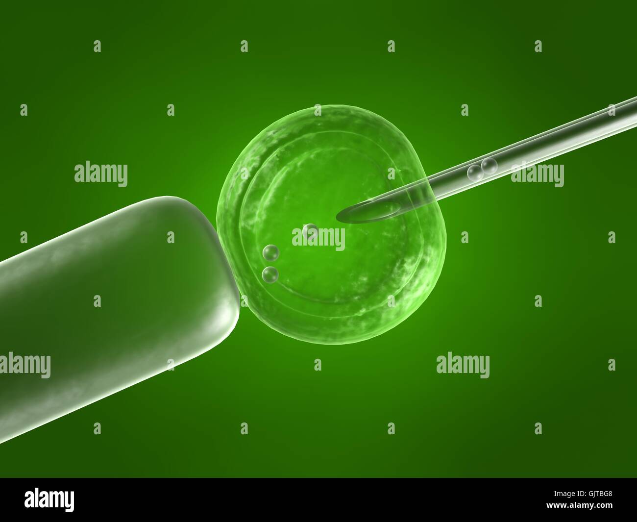 science cell biology Stock Photo - Alamy