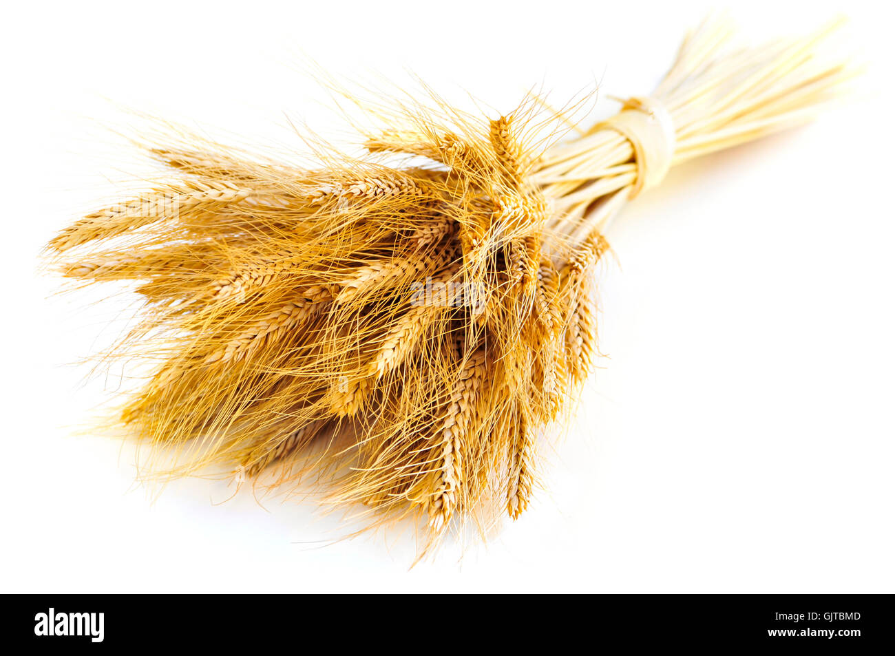 Grain sheaf Cut Out Stock Images & Pictures - Alamy