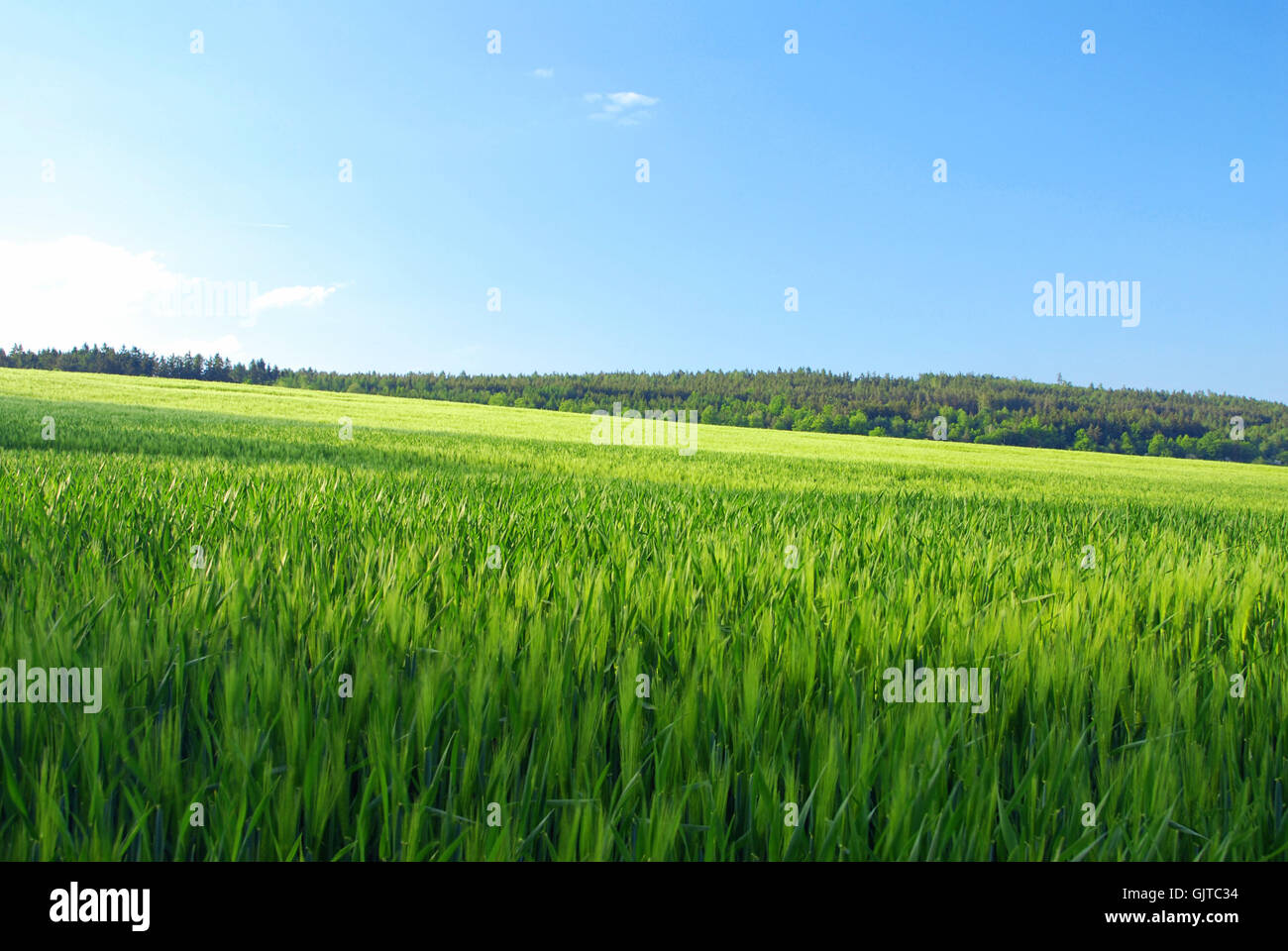 blue agriculture farming Stock Photo - Alamy