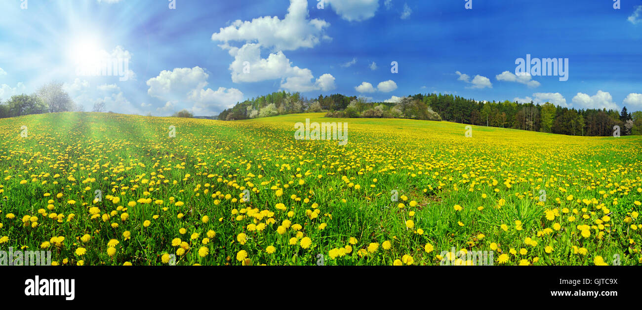 ray spring sight Stock Photo - Alamy