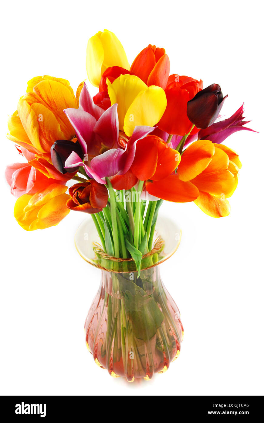 isolated flower flowers Stock Photo - Alamy