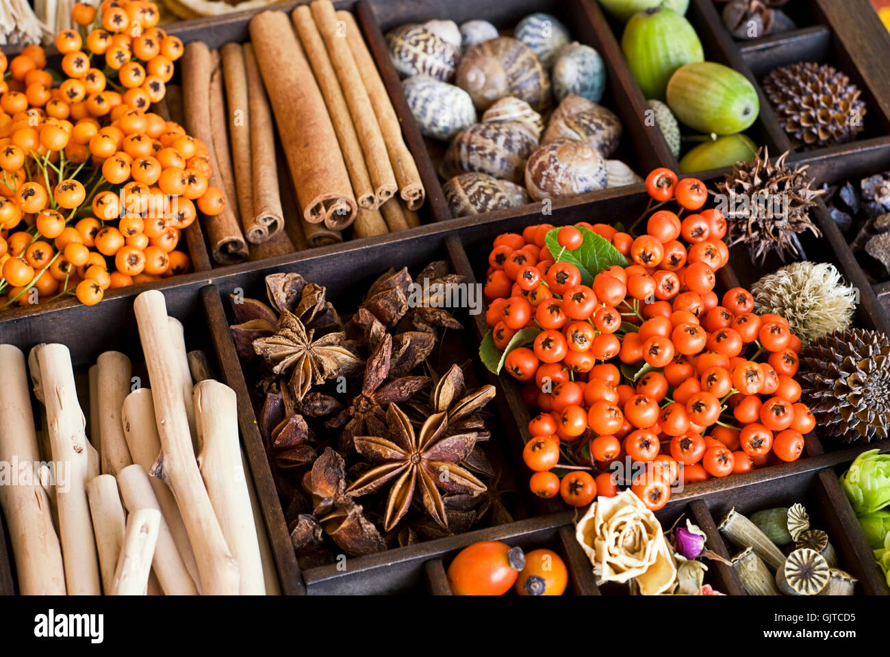 snail shell berries assortment Stock Photo - Alamy