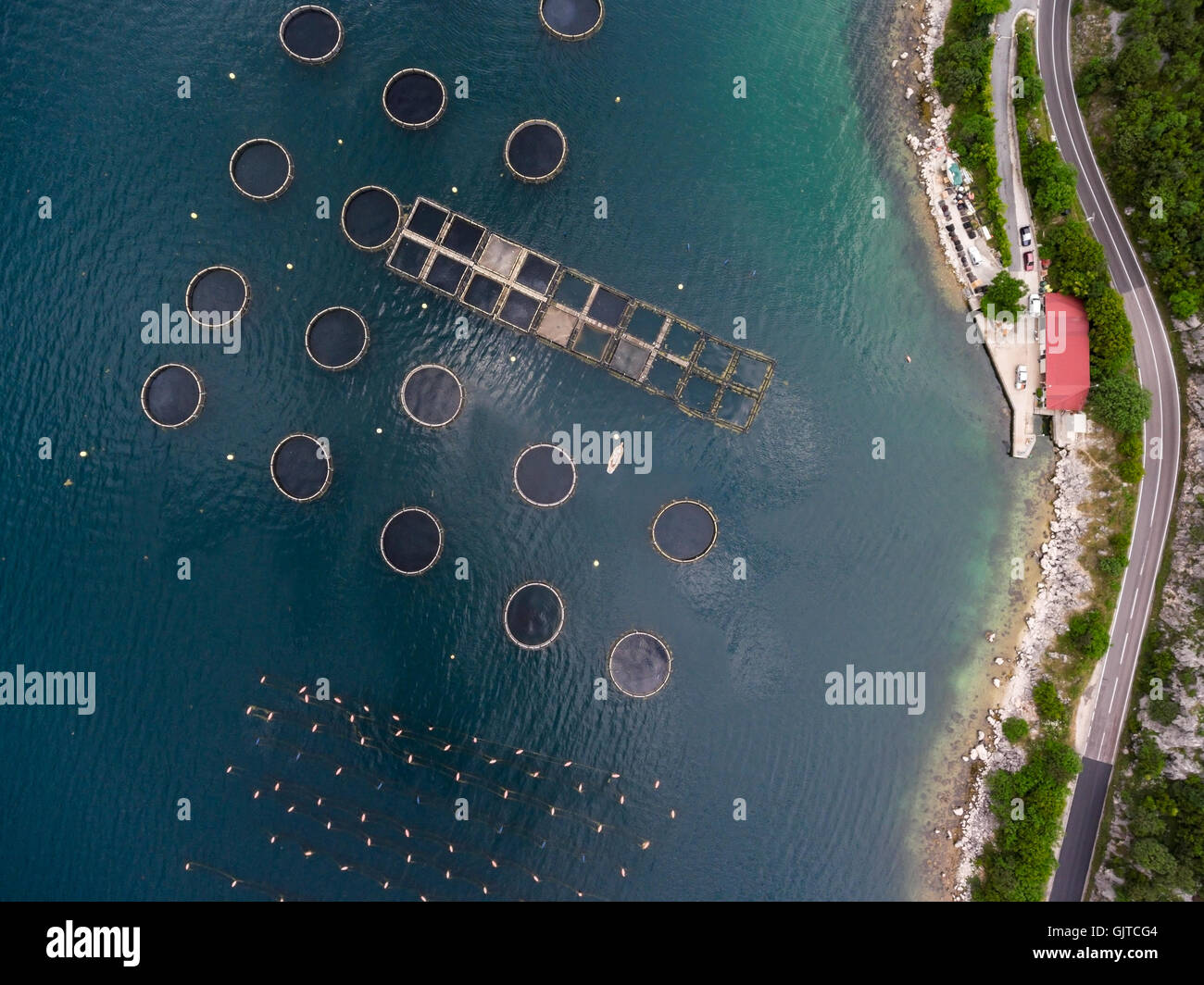 Top view at the round ponds encircled with net of fish farm in Adriatic ...