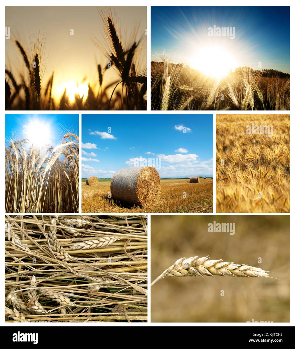 botany haystack frame Stock Photo - Alamy