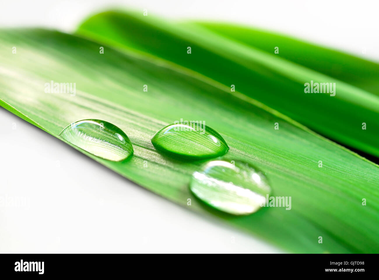 wellness bamboo water drop Stock Photo - Alamy