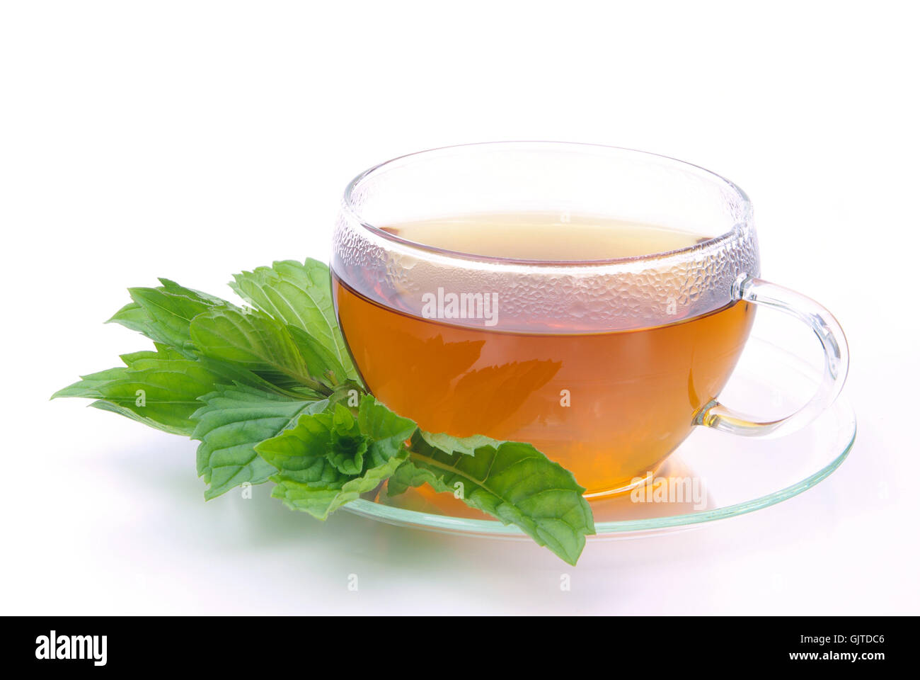 Mint tea plant hi-res stock photography and images - Alamy