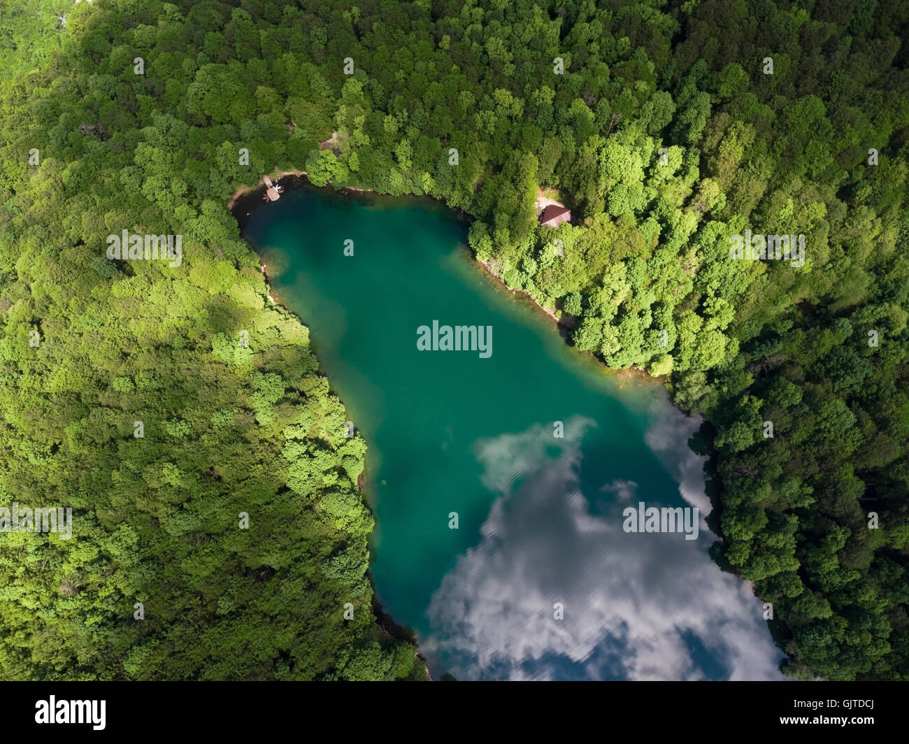 The Biograd lake. Calm reflecting water is in lush green forest of ...