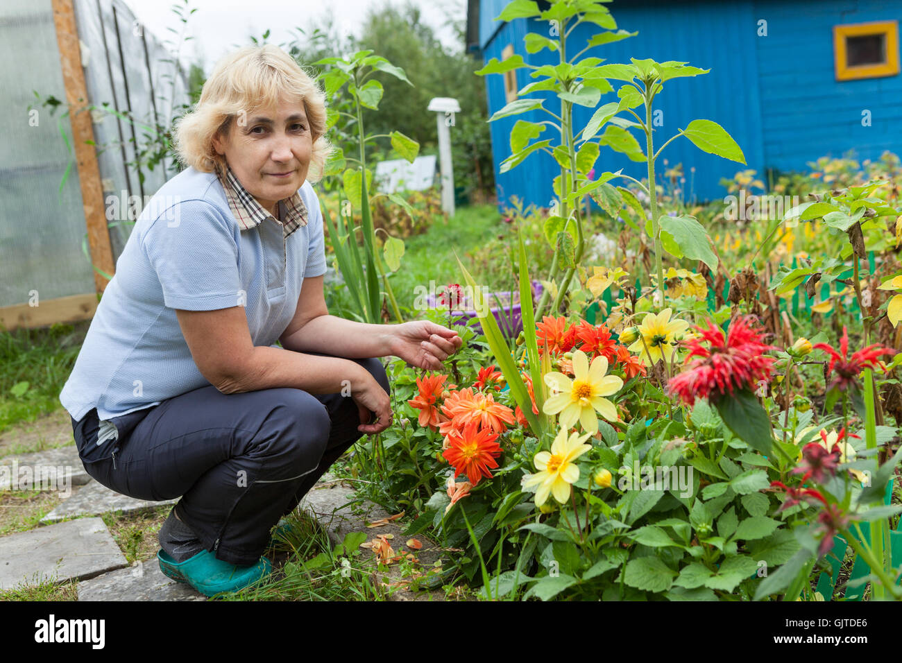 Cultivating beauty hi-res stock photography and images - Alamy