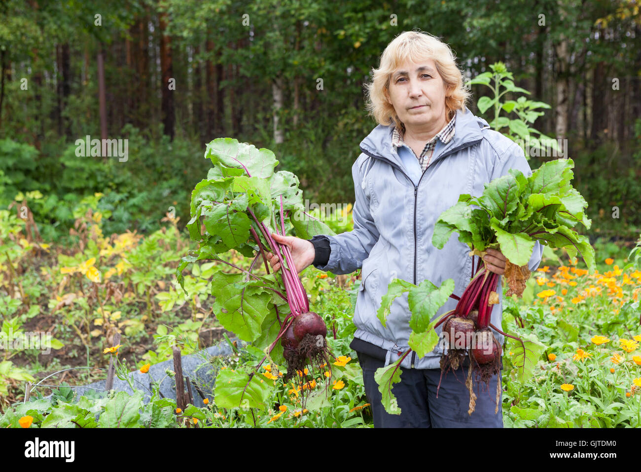 Female garden beet hi-res stock photography and images - Alamy