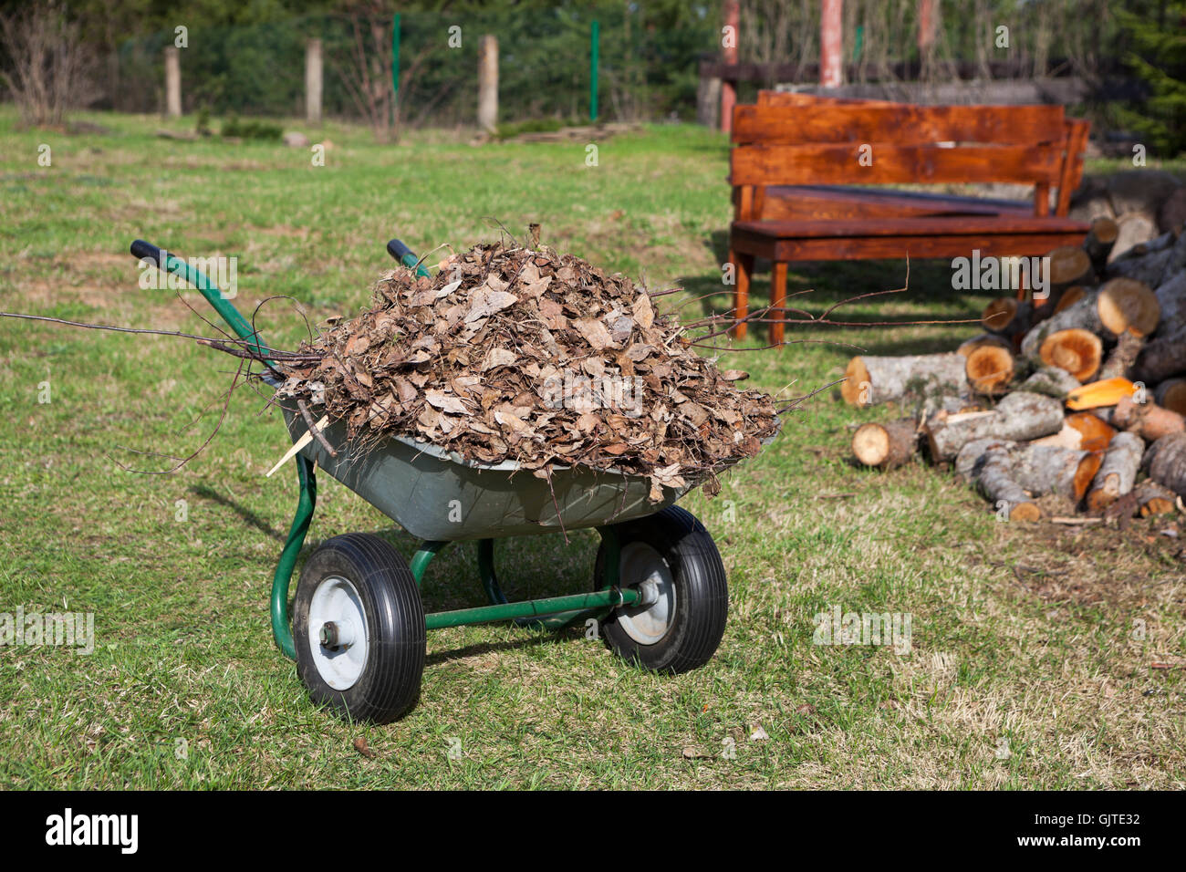Steel wheelbarrow with leaves in garden Stock Photo - Alamy