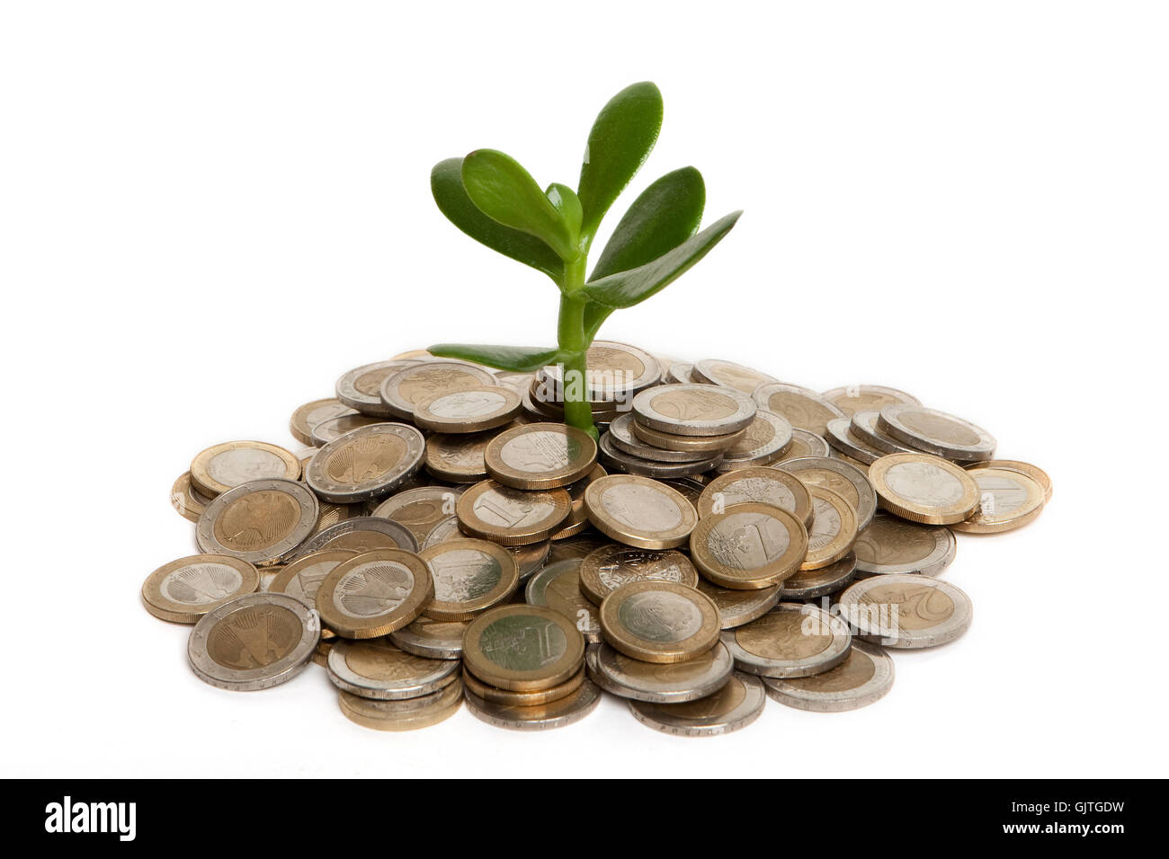coins with plant money concept Stock Photo - Alamy