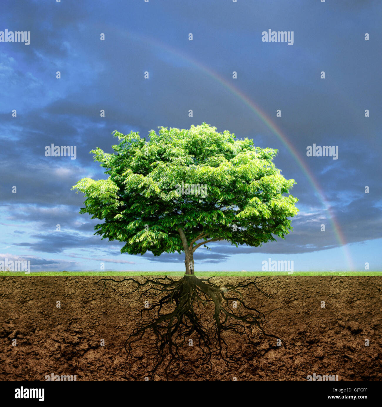 Existence project hi-res stock photography and images - Alamy