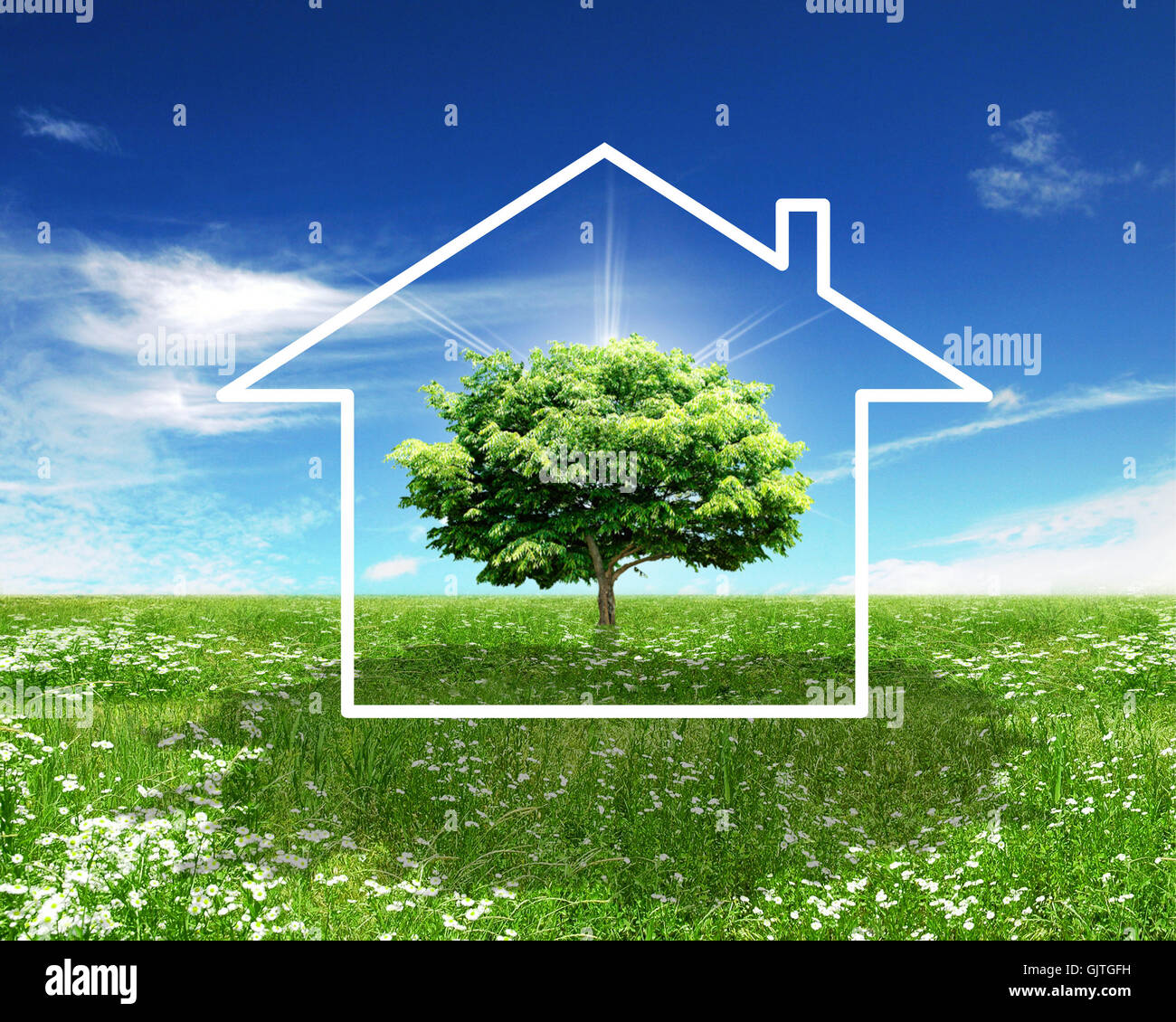 Ecological house cleaned up tree ambient symbol ecology hi-res stock ...
