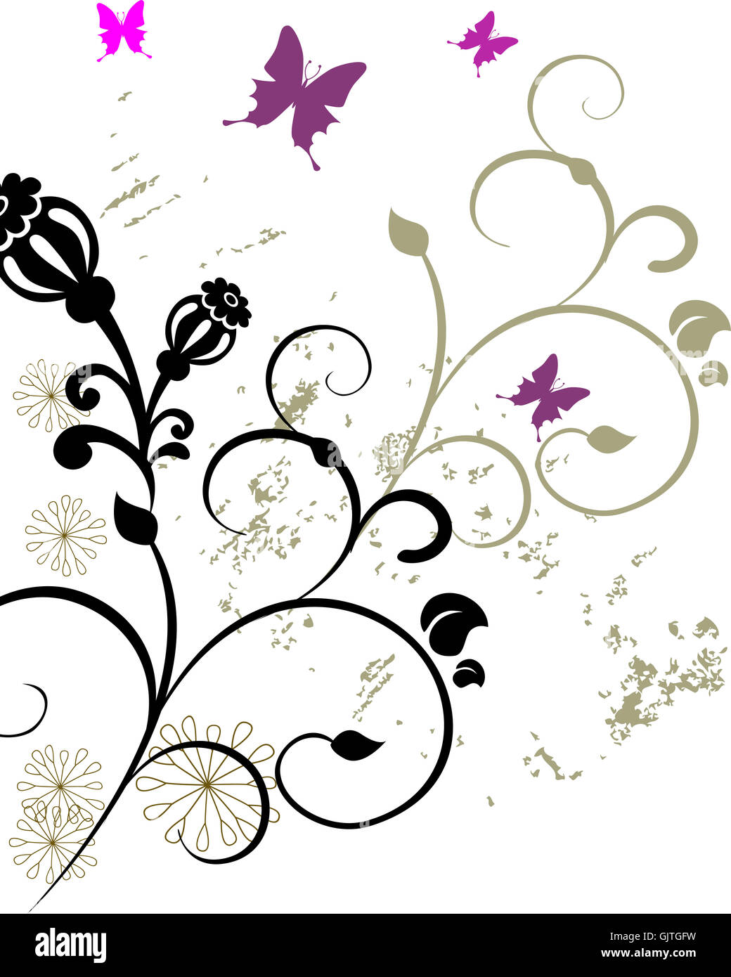 Beautiful anger Cut Out Stock Images & Pictures - Alamy