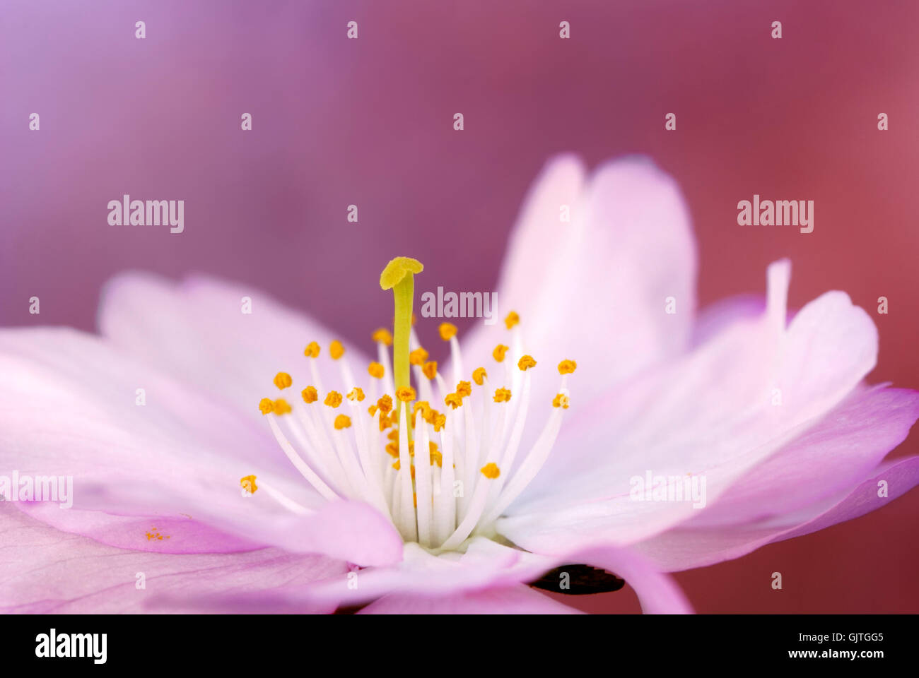 Natural admission hi-res stock photography and images - Alamy