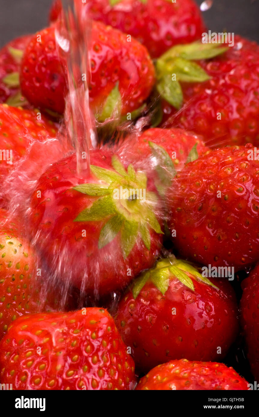 Furbish hi-res stock photography and images - Alamy