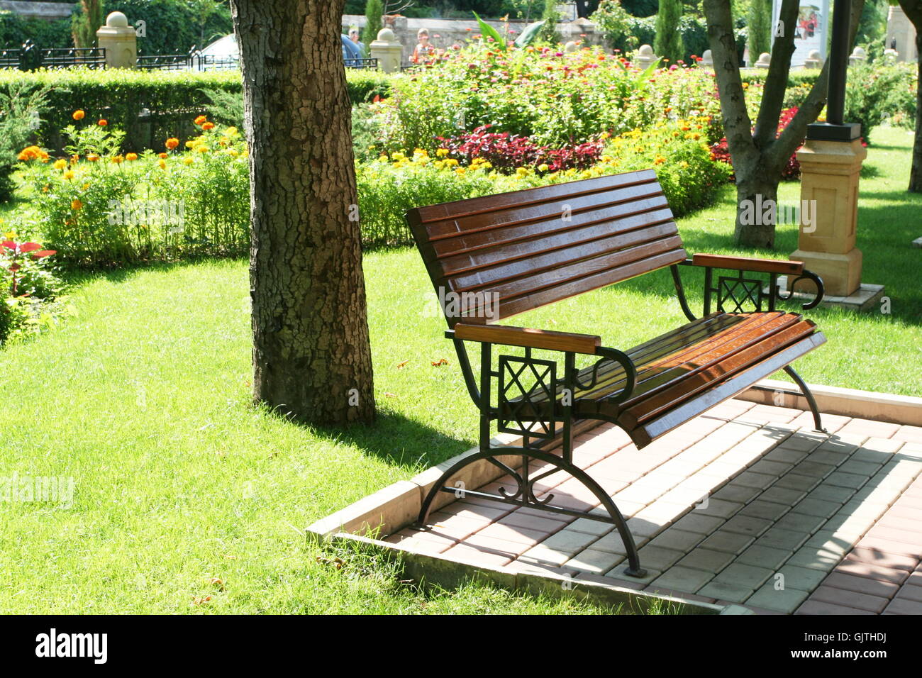 Park Grass Bench Town High Resolution Stock Photography and Images - Alamy