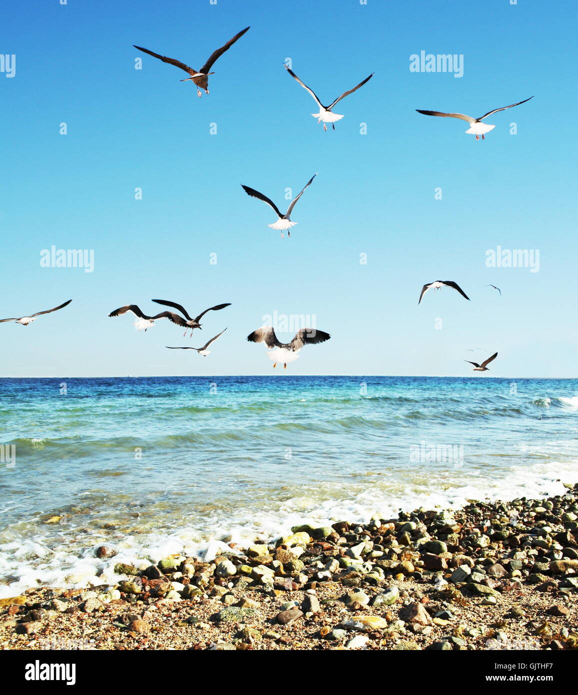 blue environment enviroment Stock Photo - Alamy