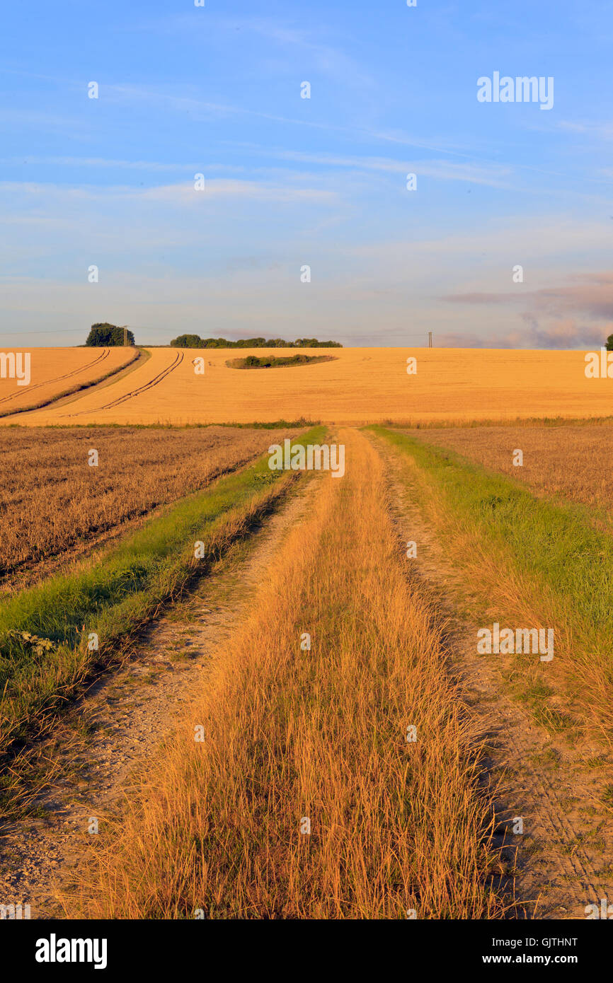 Countryside farm track hi-res stock photography and images - Alamy