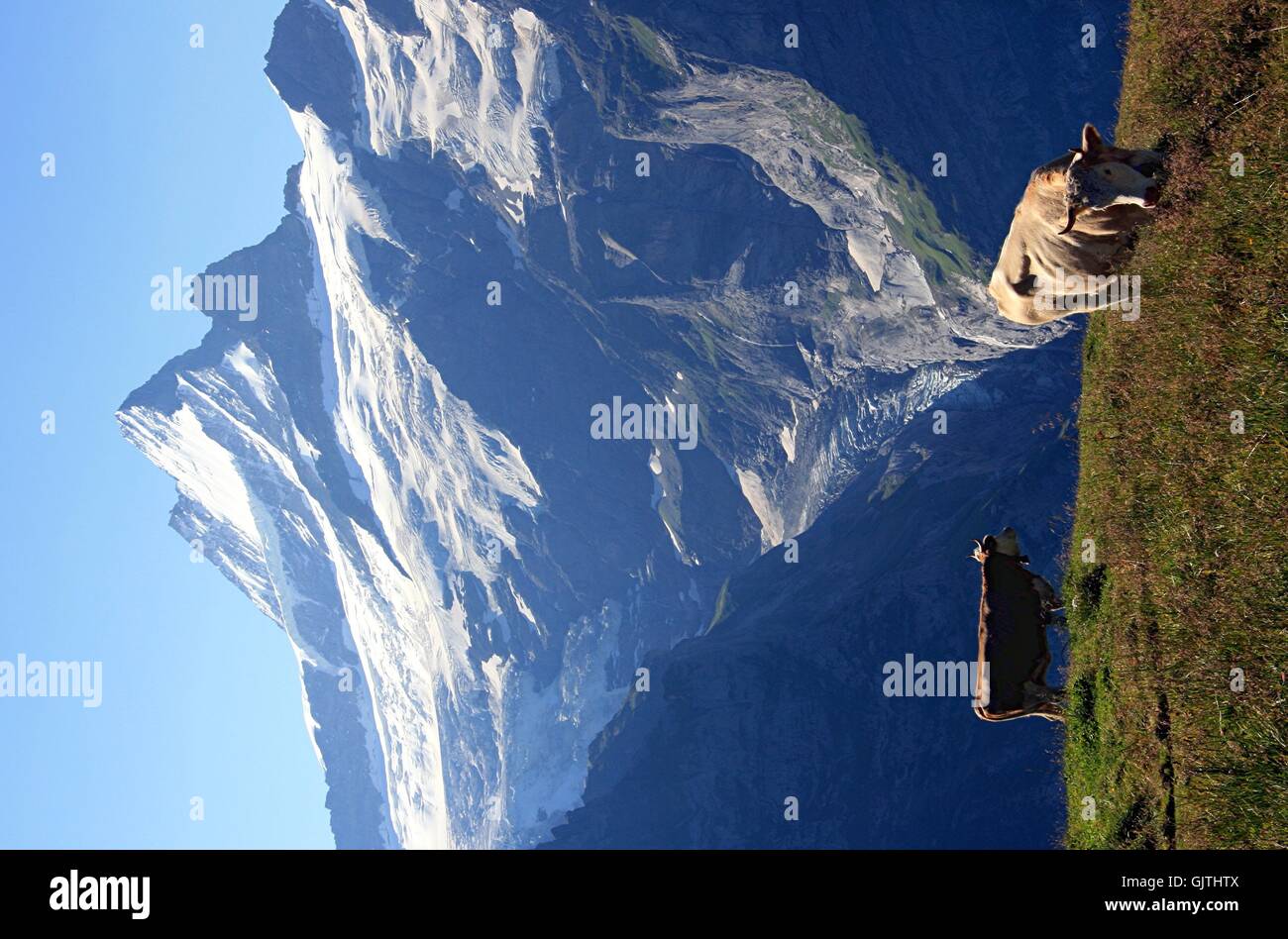 Beautiful Views Stock Photos & Beautiful Views Stock Images - Alamy