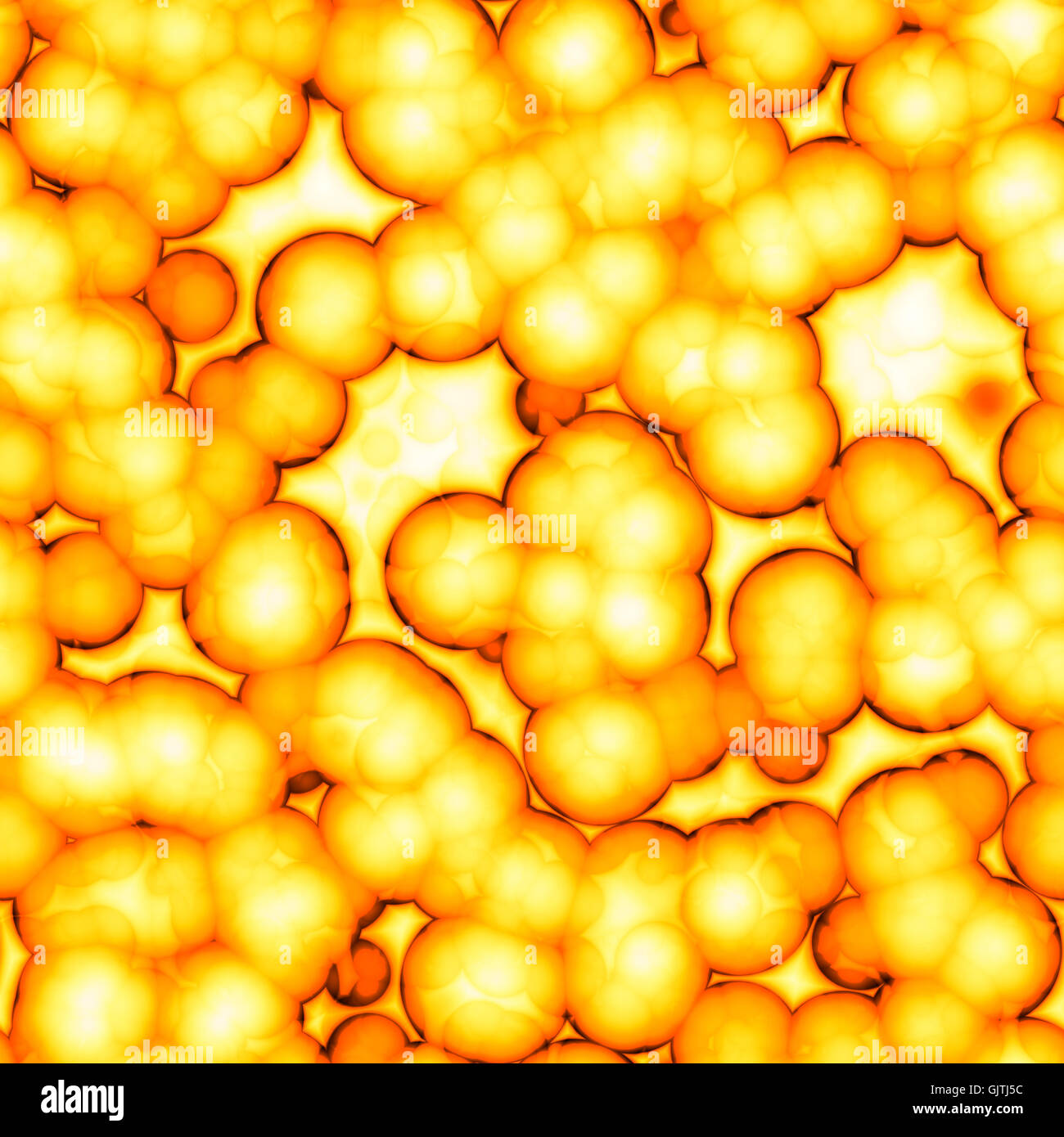 Orange cells up close hi-res stock photography and images - Alamy