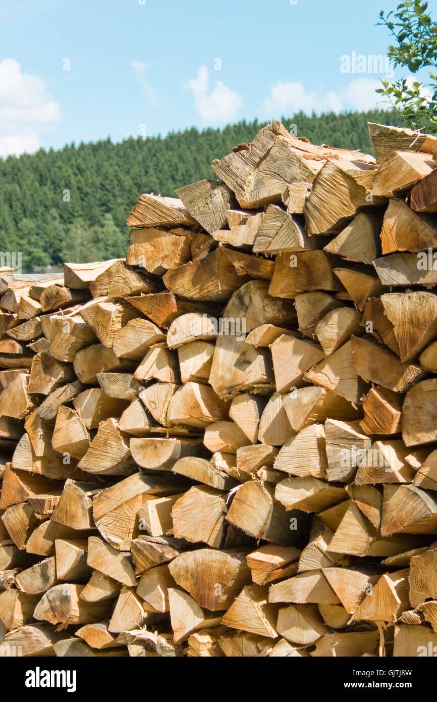 tree fire conflagration Stock Photo - Alamy