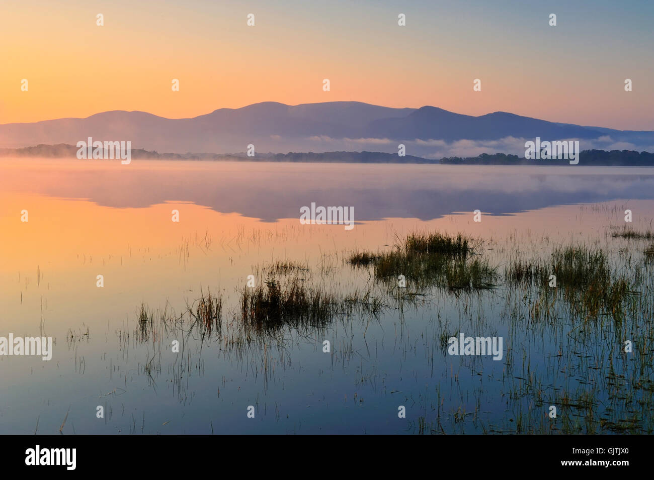 Travel world ireland landscape color hi-res stock photography and ...