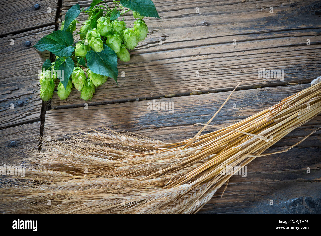 Hop cones sheaf barley hi-res stock photography and images - Alamy