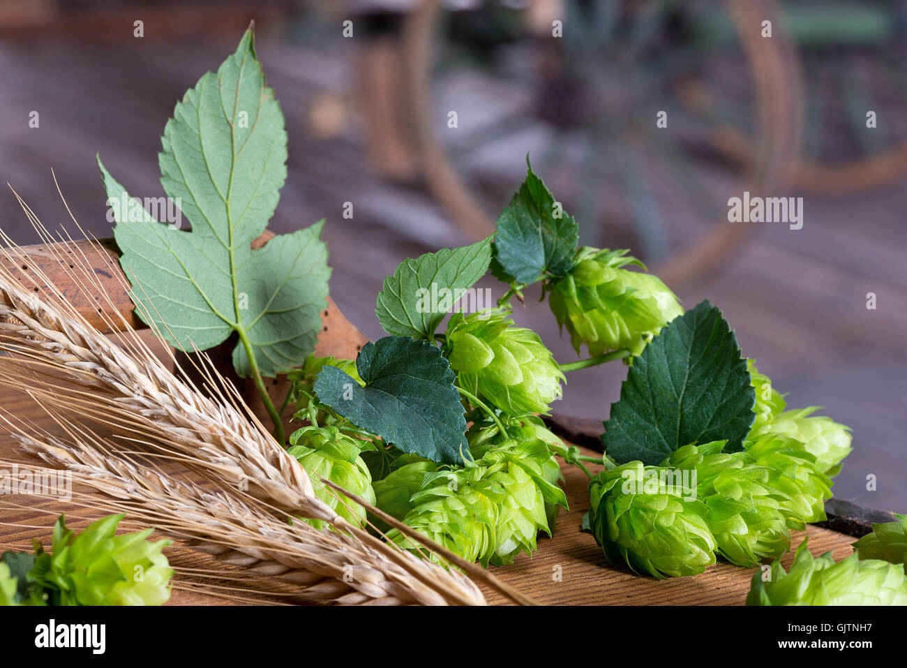 Hop cones sheaf barley hi-res stock photography and images - Alamy