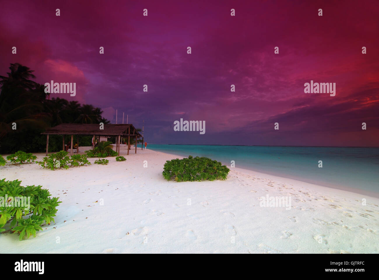 Violet sunset at beach hi-res stock photography and images - Alamy