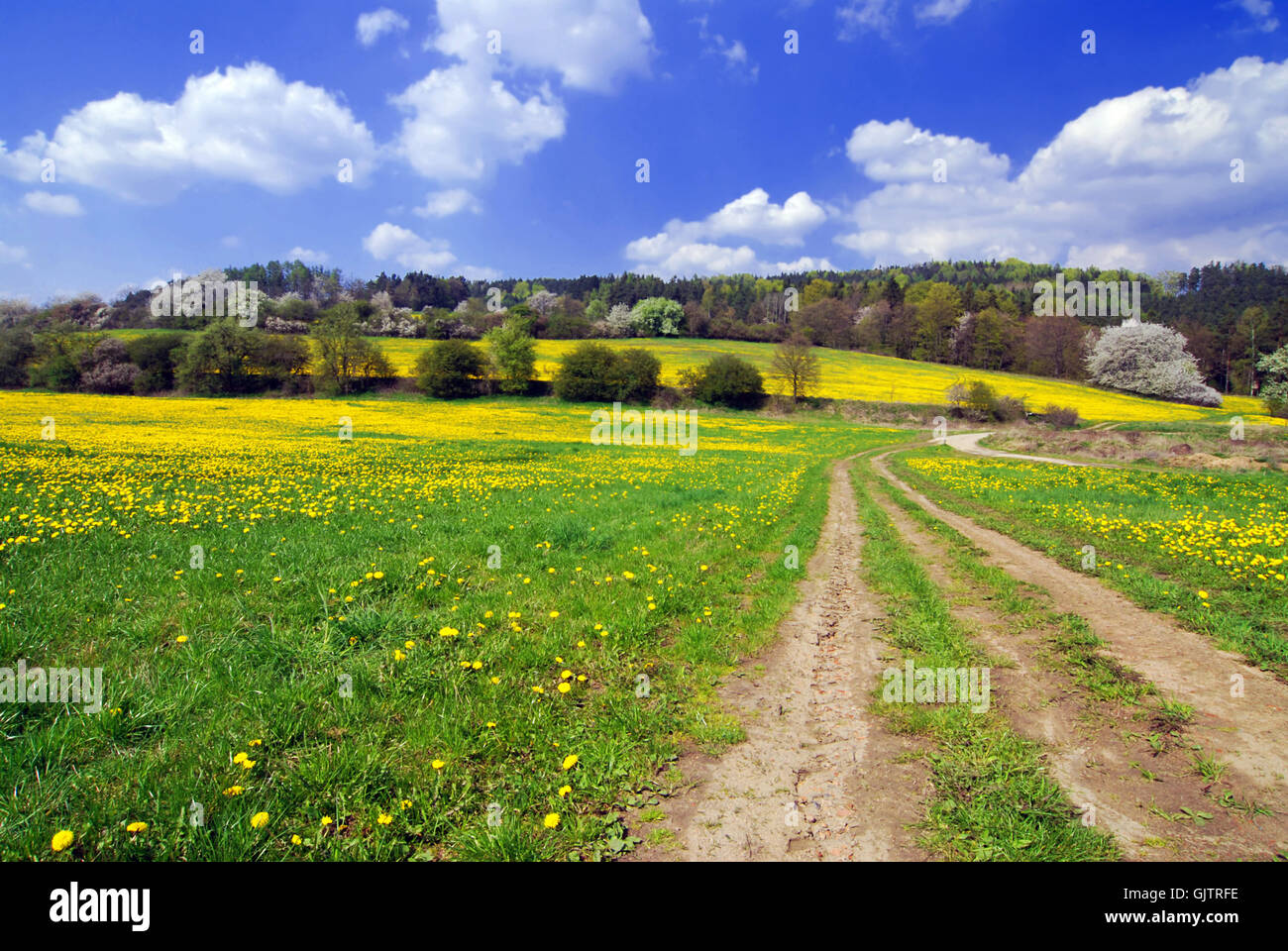 blue spring road Stock Photo - Alamy