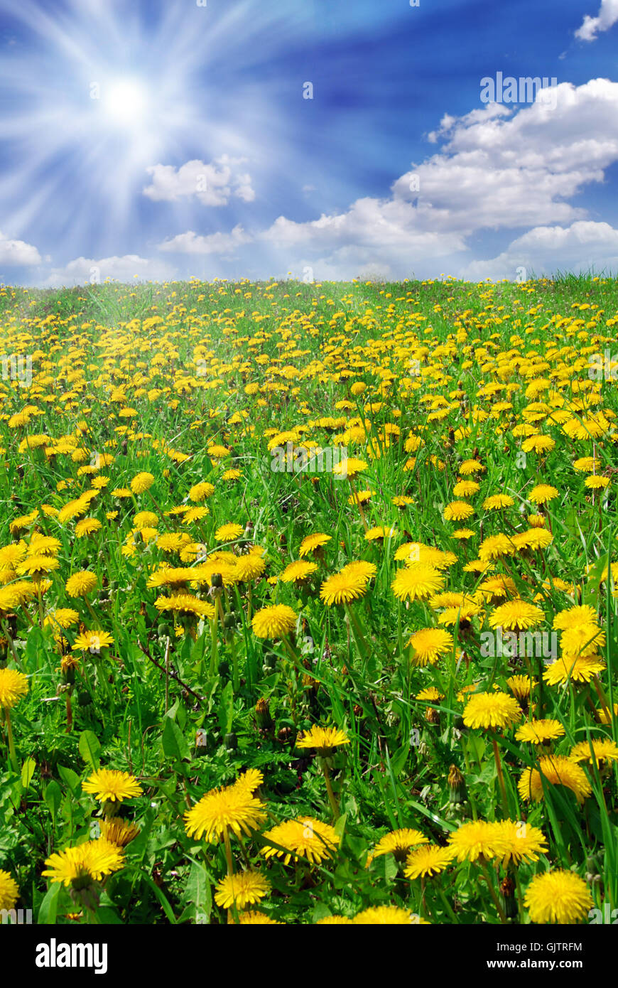 blue landscape scenery Stock Photo - Alamy