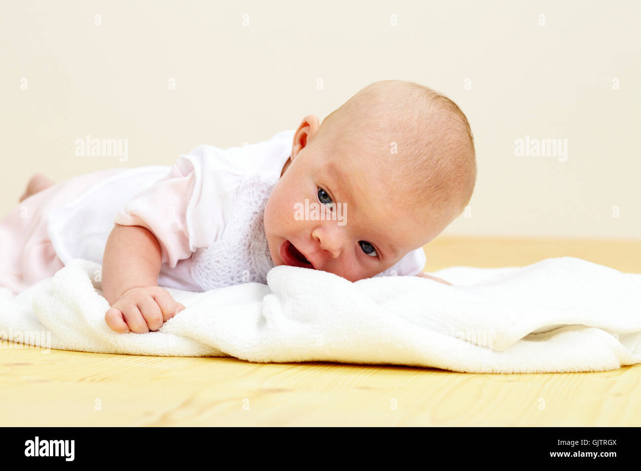 13 week old hi-res stock photography and images - Alamy