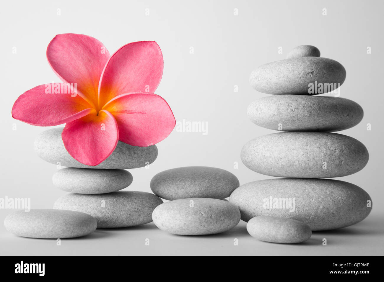 stone flower plant Stock Photo - Alamy