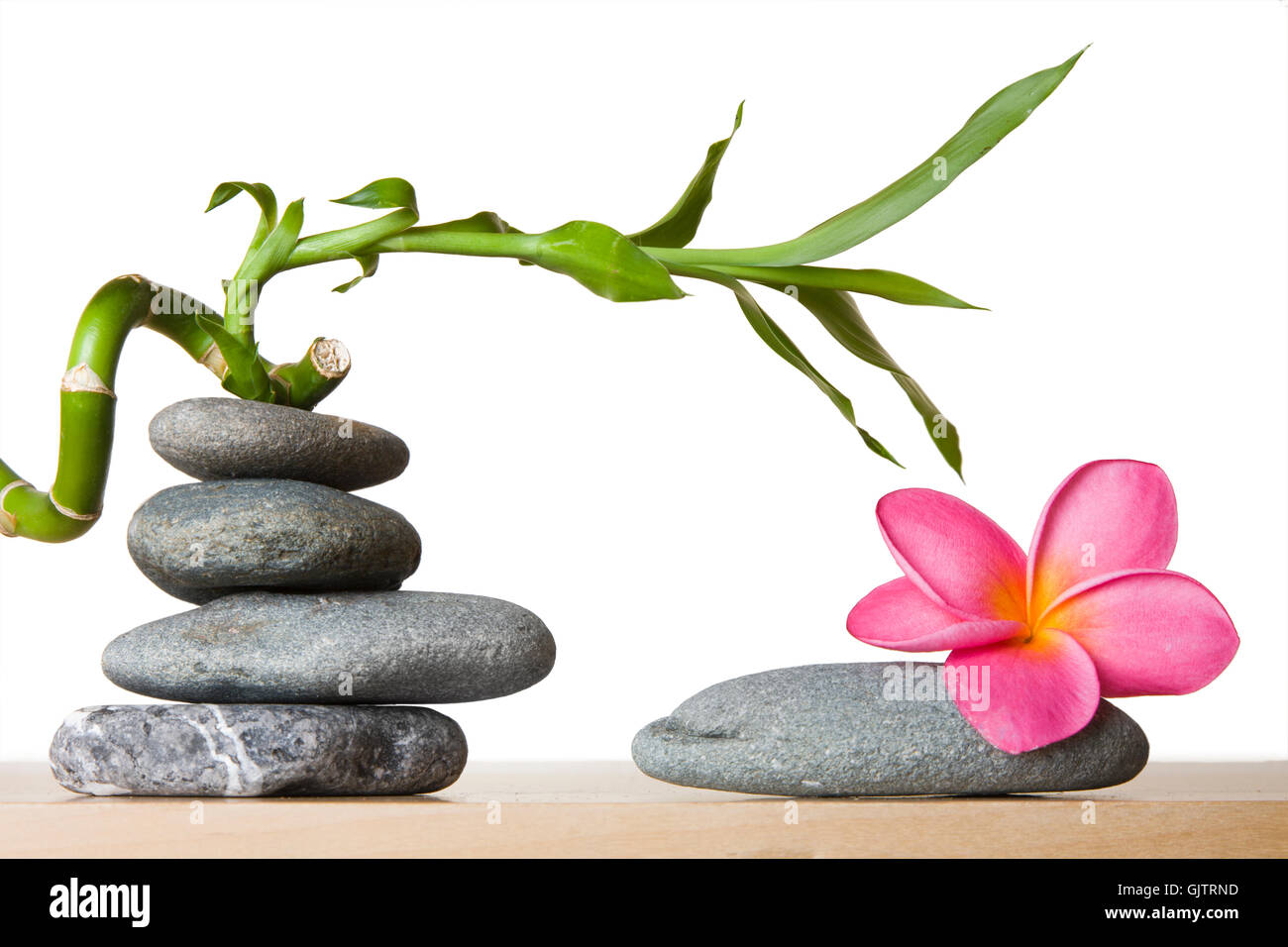flower plant peaceful Stock Photo - Alamy