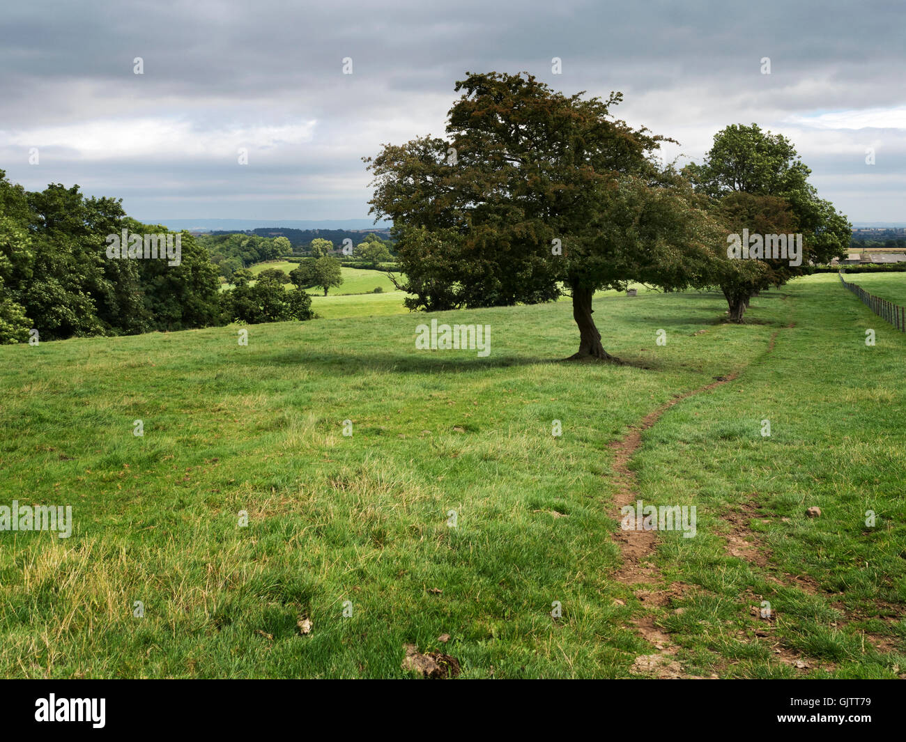 Part of the Ripon Rowell Walk Recreational Path above Whitcliff Hall ...
