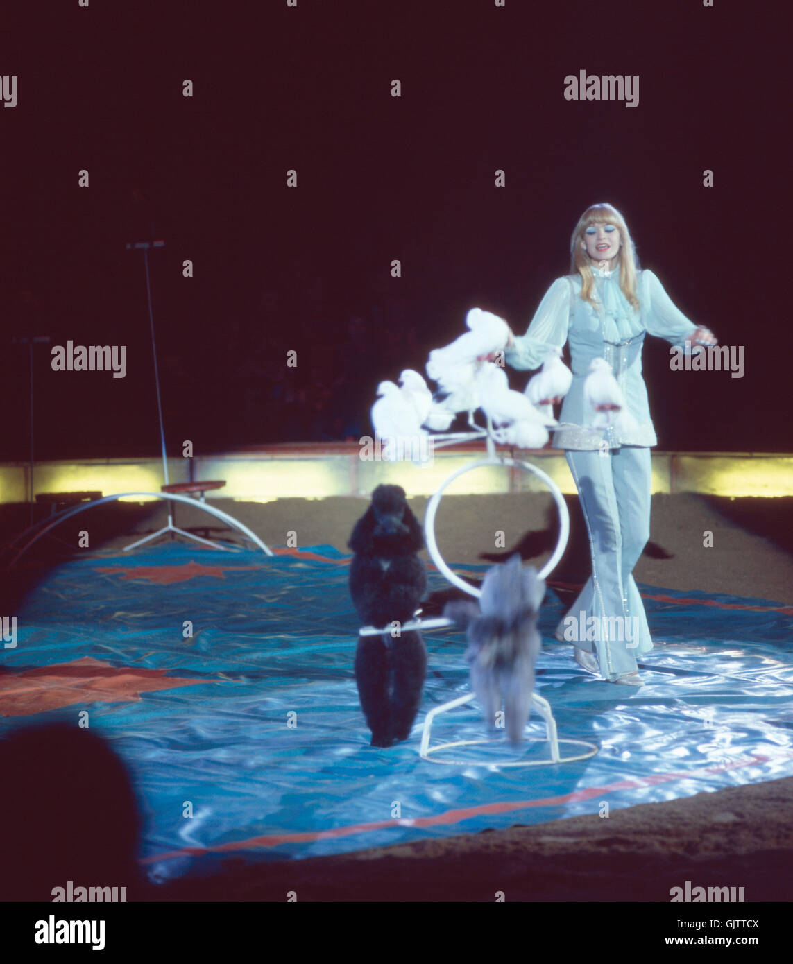 Zirkus Krone in München, 1981. Zirkusnummer mit Pudel und Tauben ...