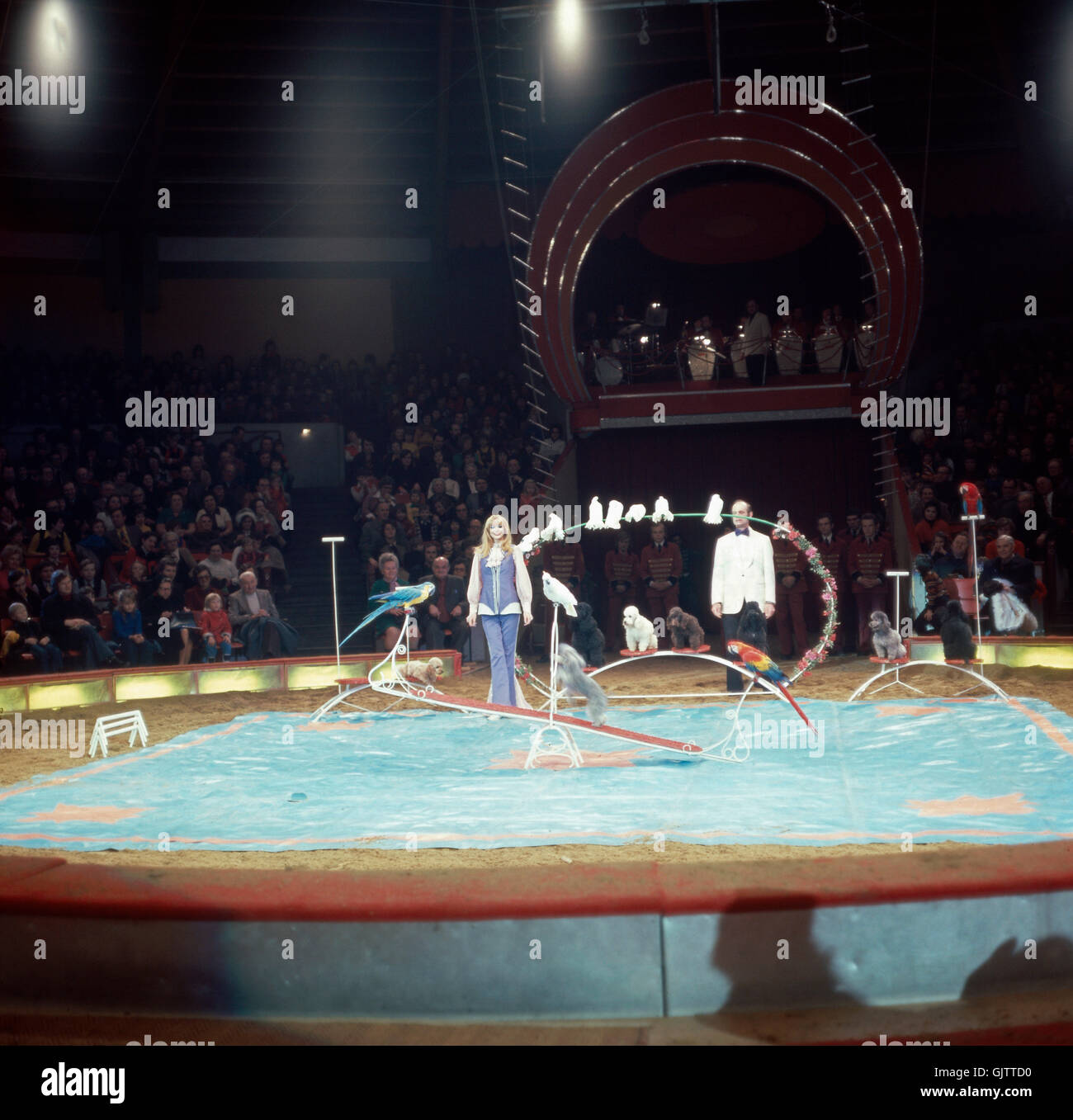 Zirkus Krone in München, 1981. Zirkusnummer mit Pudel und Tauben ...