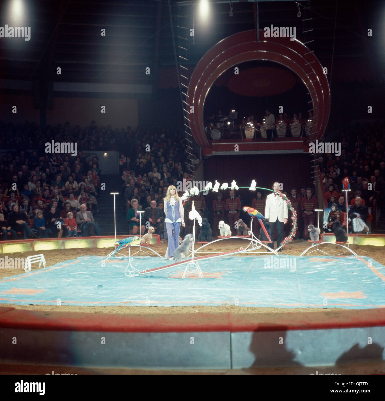 Zirkus Krone in München, 1981. Zirkusnummer mit Papageien, Pudel und ...