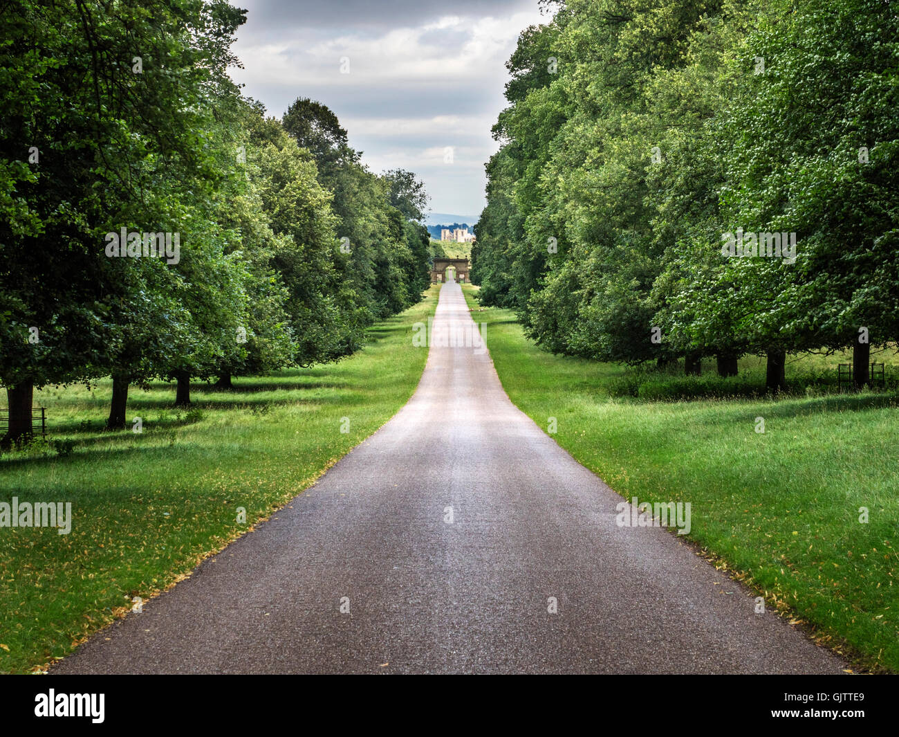 View along an Avenue to the Gate at Studley Roger with Ripon Cathedral ...
