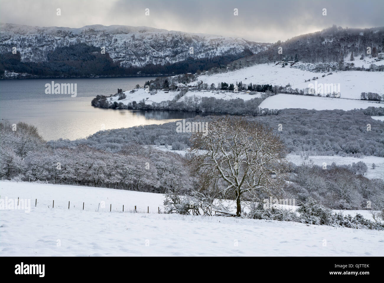 A very cold image of Loch Ness in winter Stock Photo - Alamy