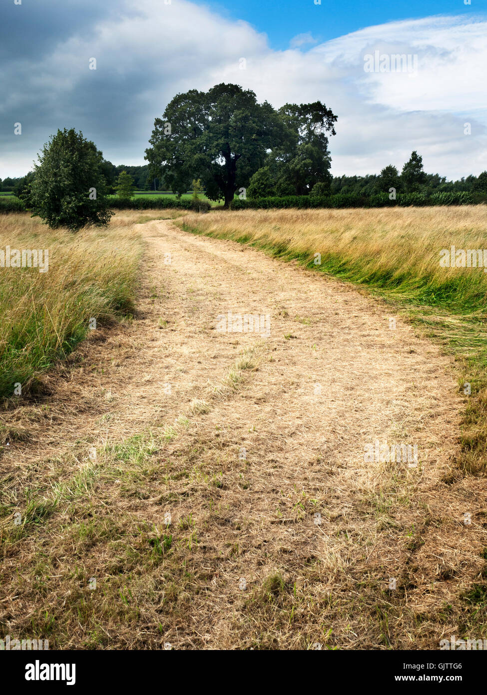 Grass track through field hi-res stock photography and images - Alamy