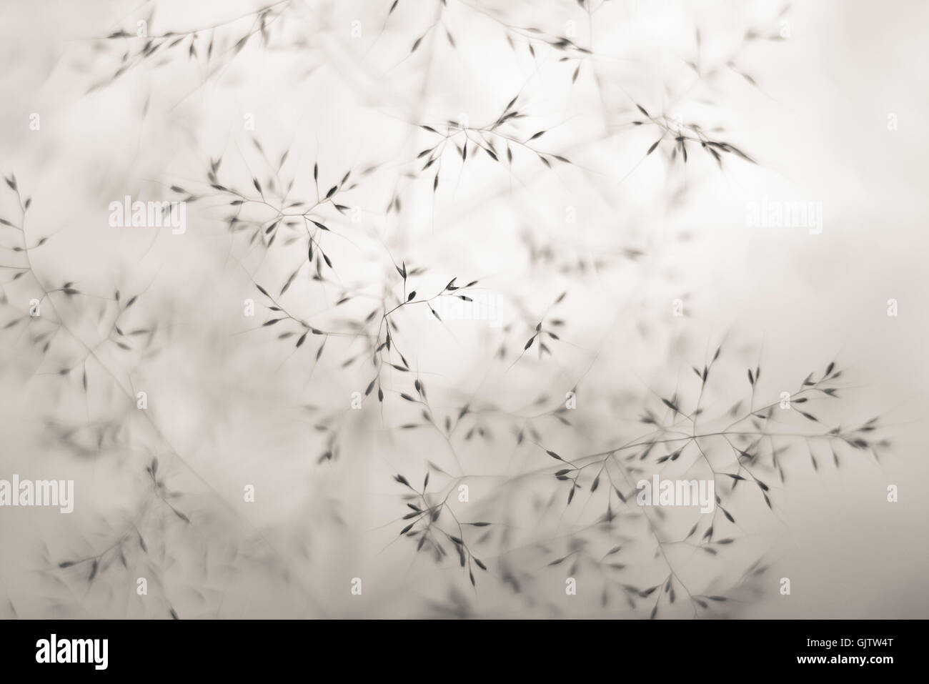 Smooth figure hi-res stock photography and images - Alamy