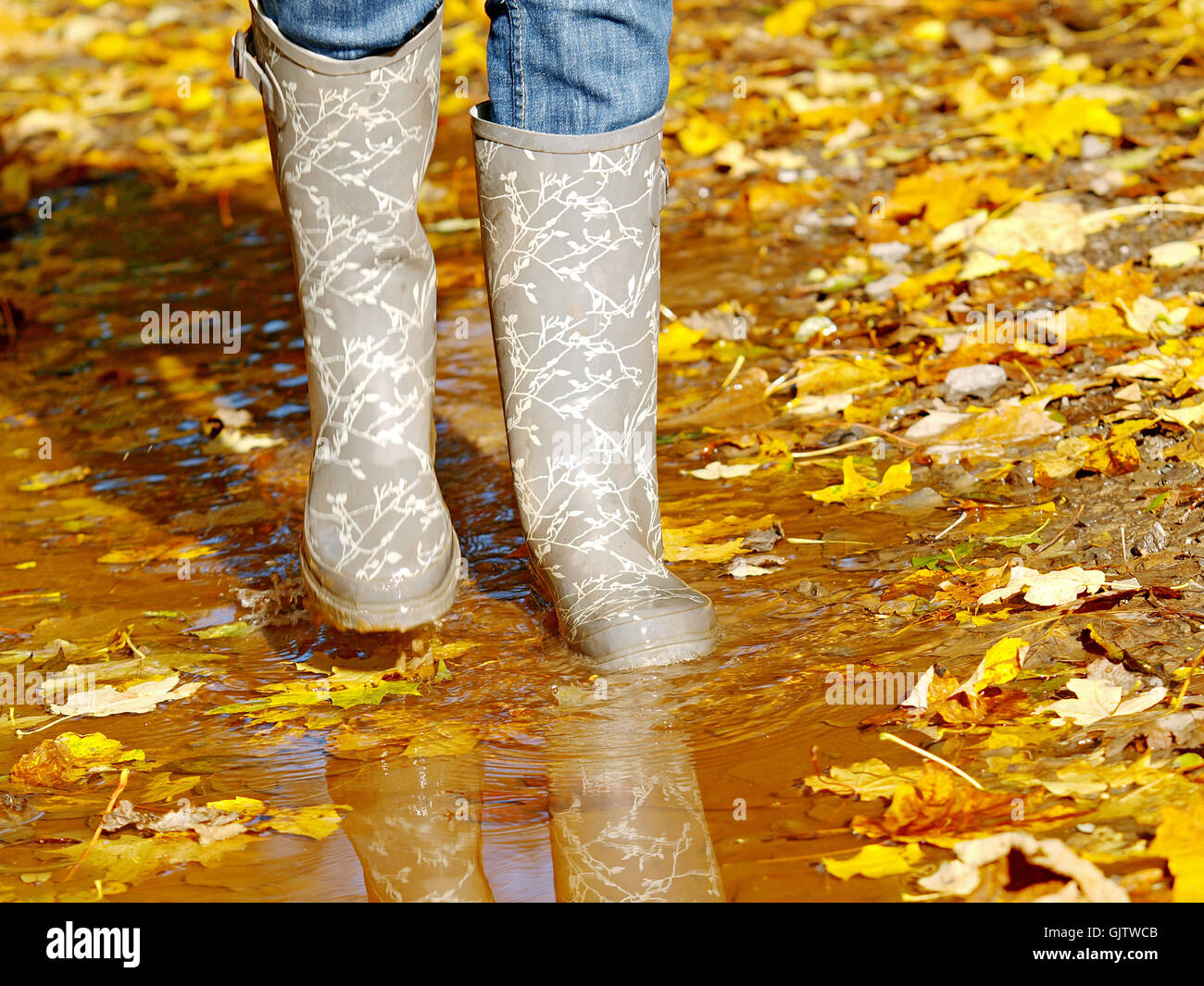walk puddle colour Stock Photo - Alamy